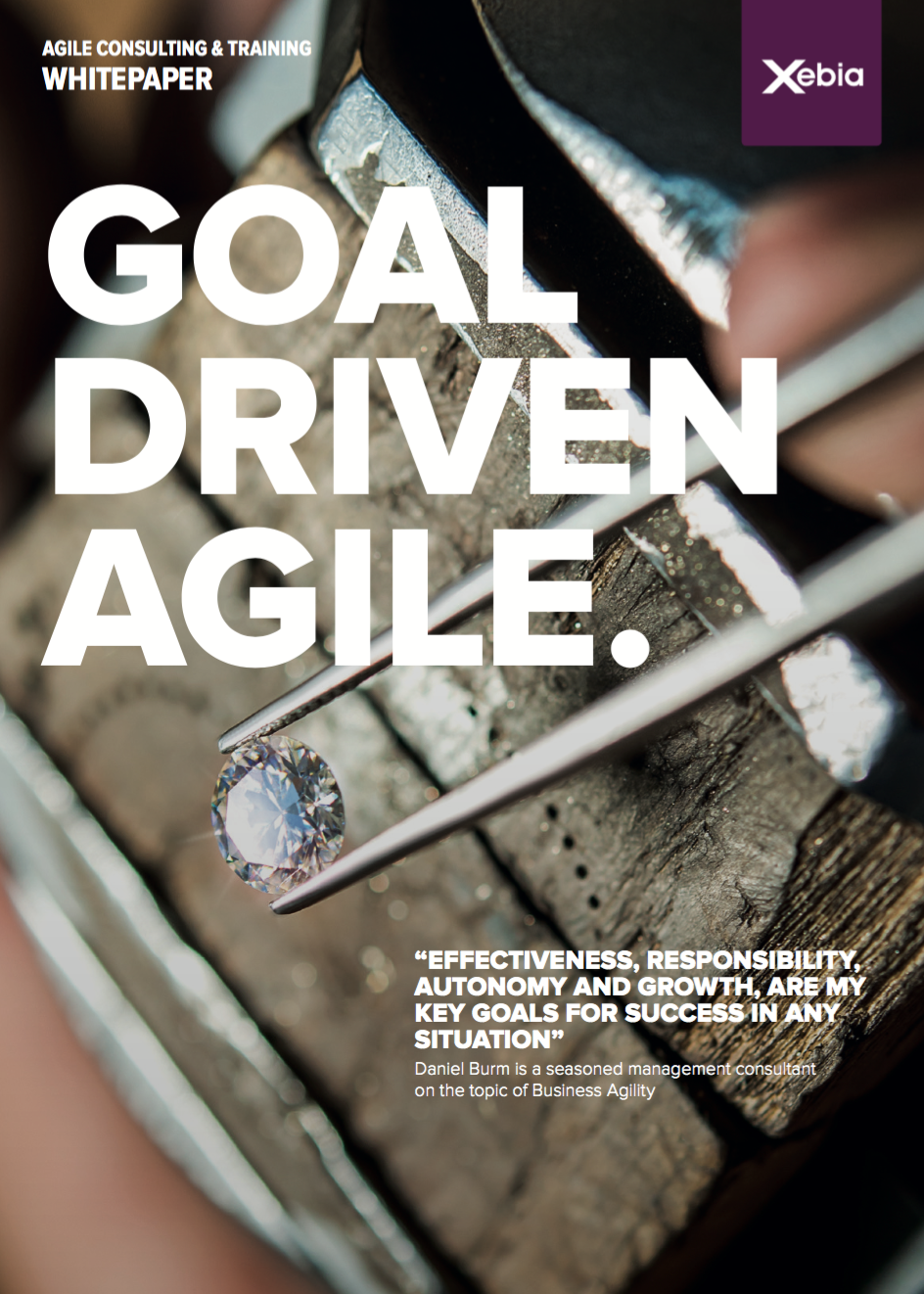 Goal Driven Agile - Whitepaper Goal Driven Agile - Whitepaper